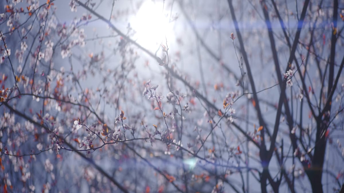 Out of Season