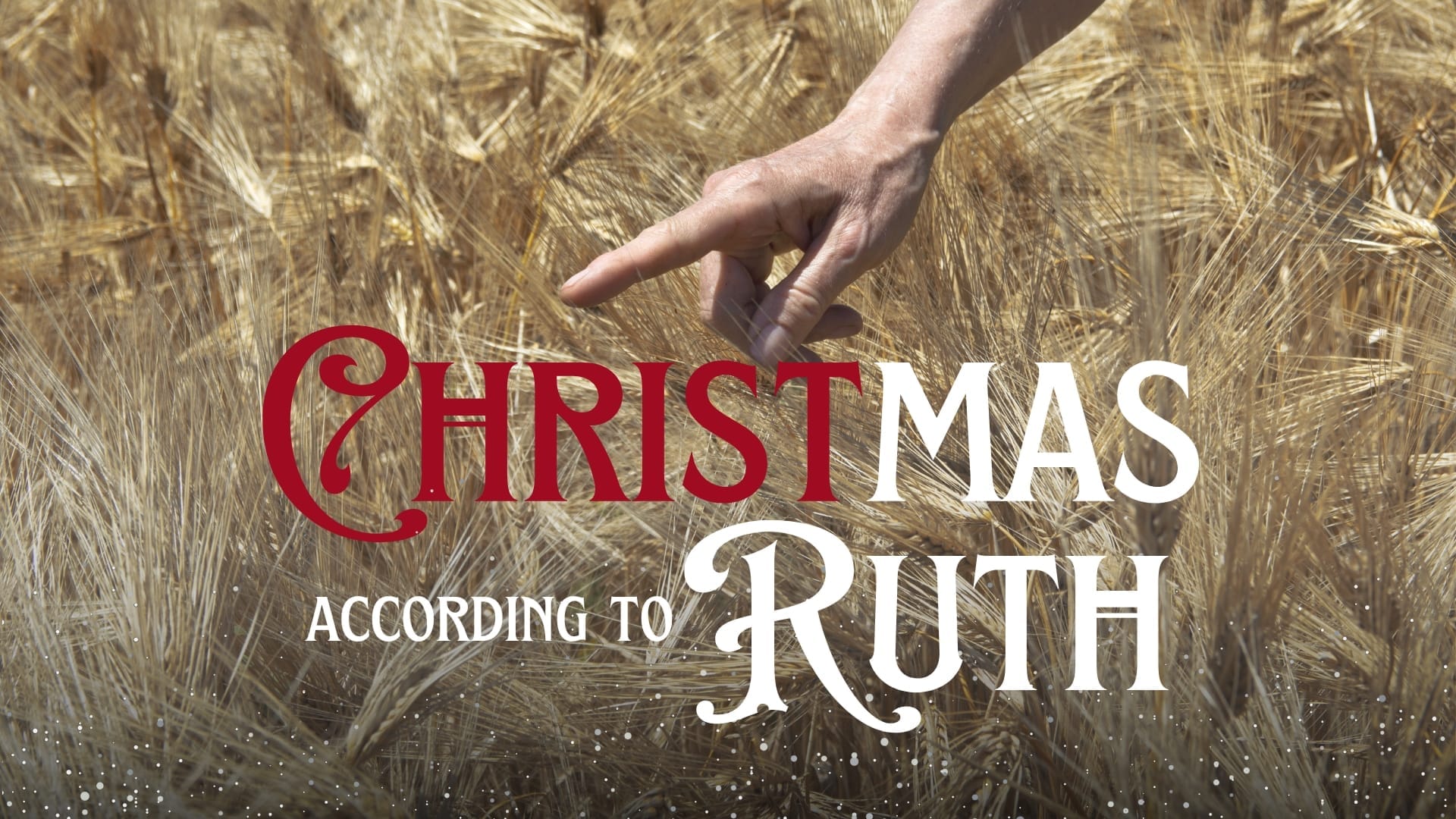 Echoes of Jesus (Ruth 4)